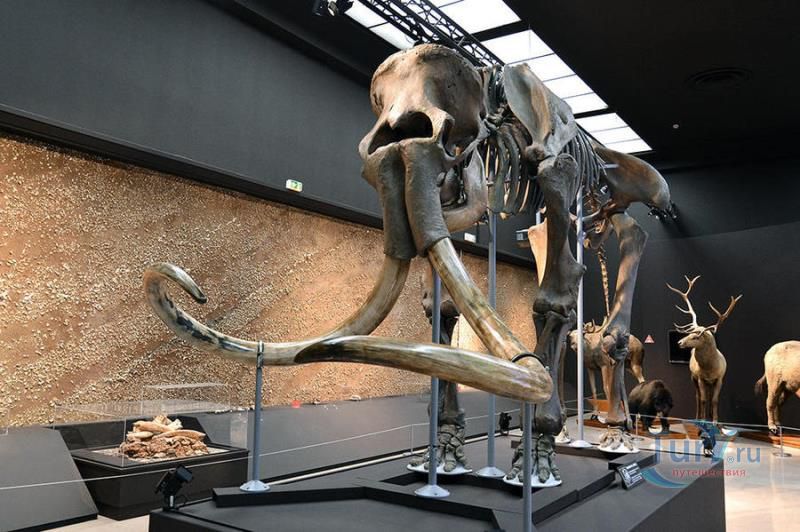 Monaco Museum of Prehistoric Anthropology - Monaco1.com