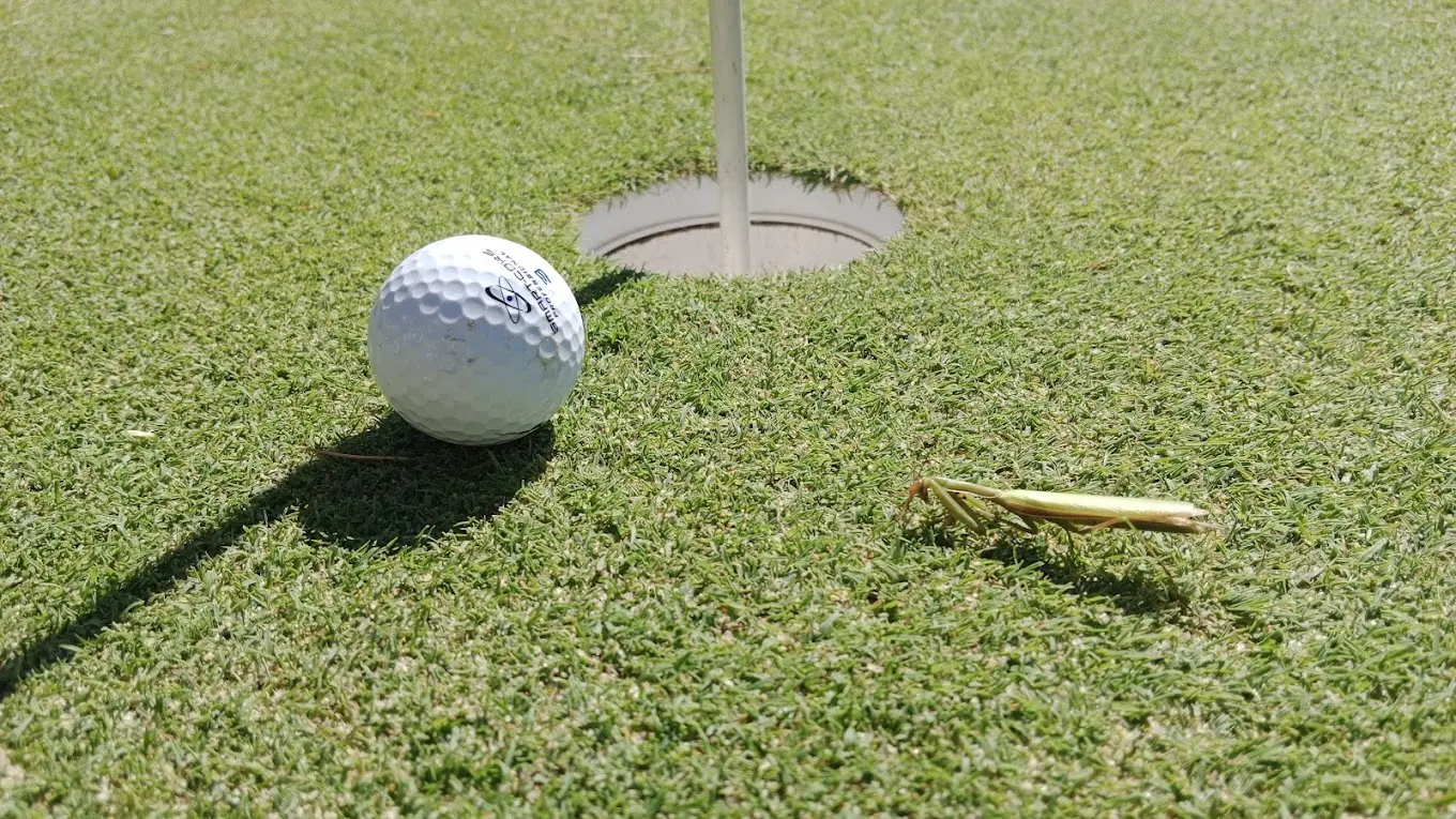 Monte Carlo Golf Club - Monaco1.com