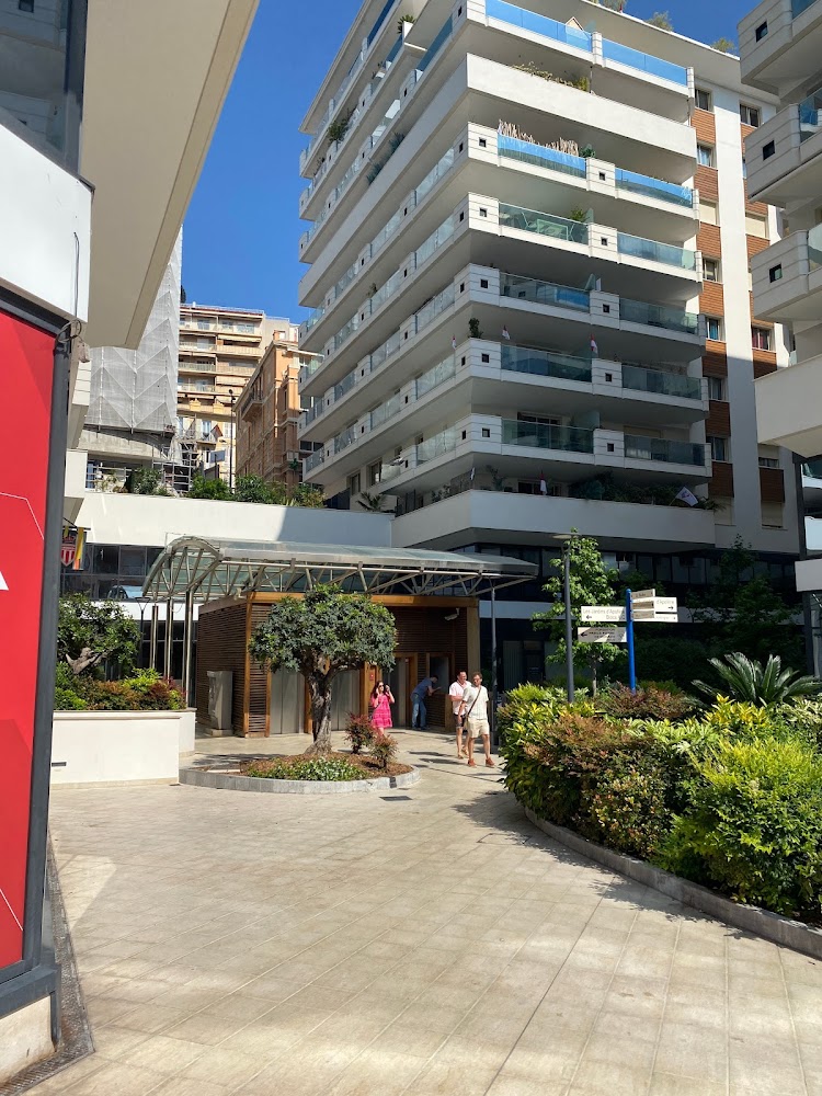 Monaco parking - Monaco1.com